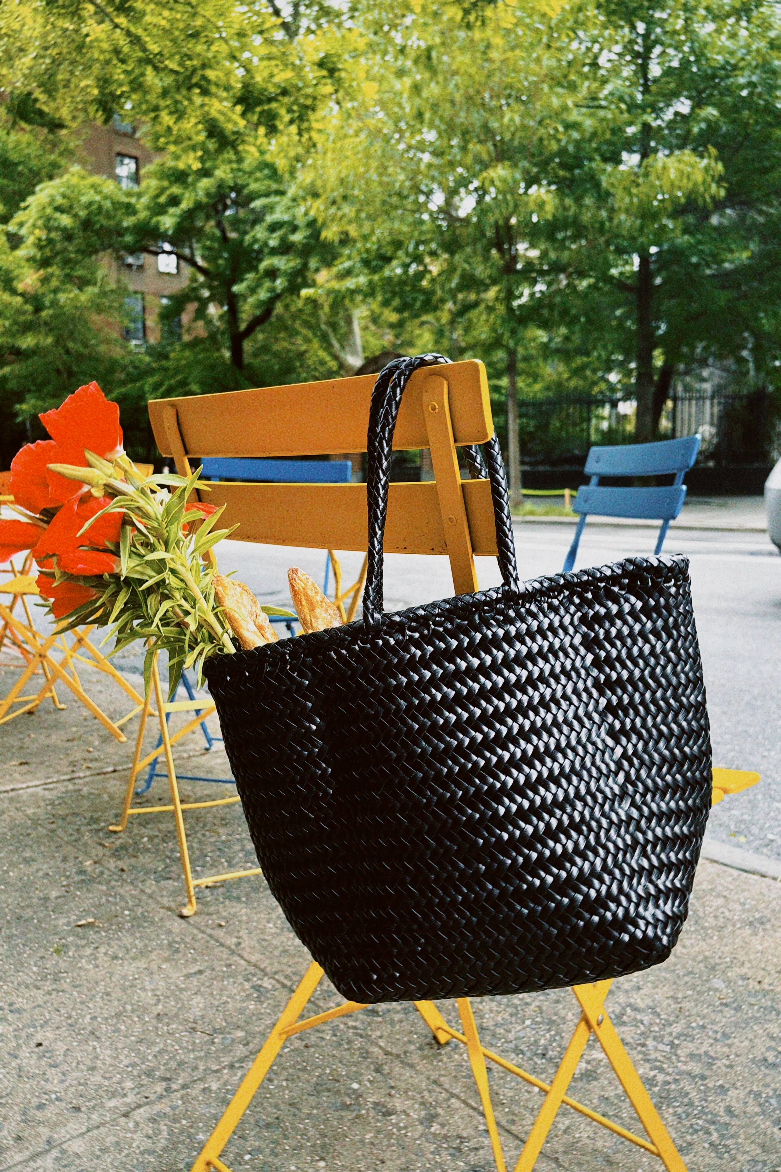 FIRE AND BLOOD! SUBSTITUTE A GIANT FIRE-BREATHING LIZARD FOR A DRAGON ...